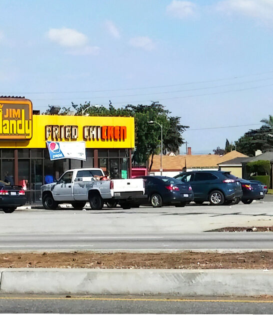 fried chicken california diner FTR