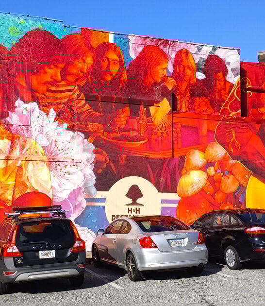 fried chicken georgia good ftr