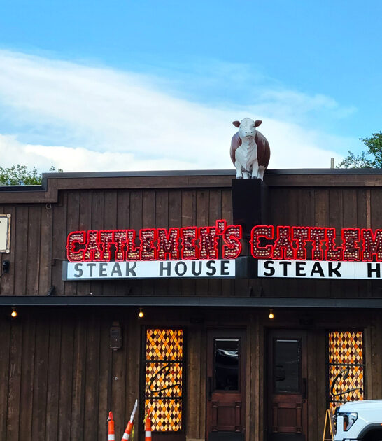 fried chicken texas steak ftr