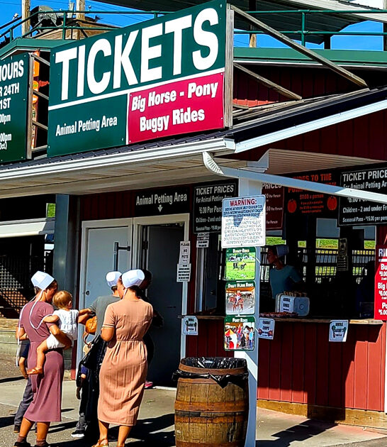 fried pies amish ohio ftr