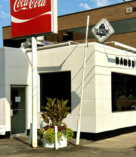 fries burger joint michigan FTR