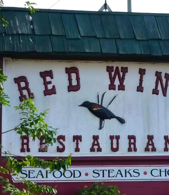 frog legs place florida ftr