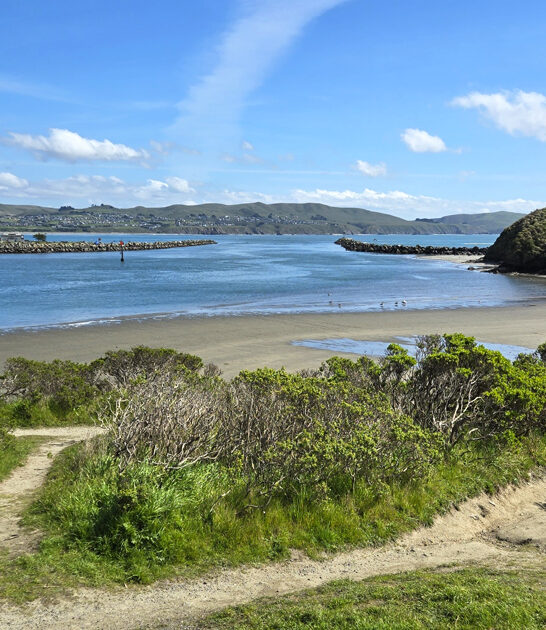 fun weekend park california ftr