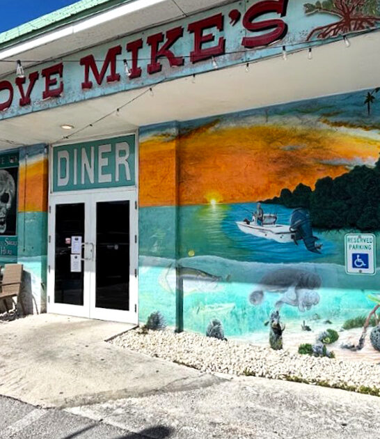 funky diner amazing florida ftr