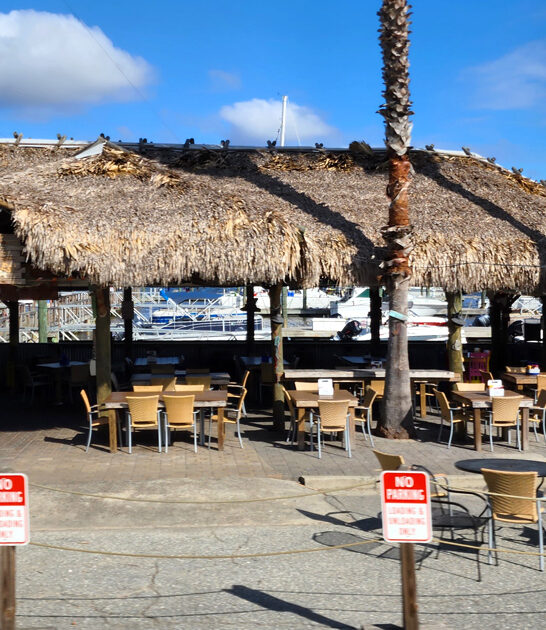 georgia best seafood restaurants ftr