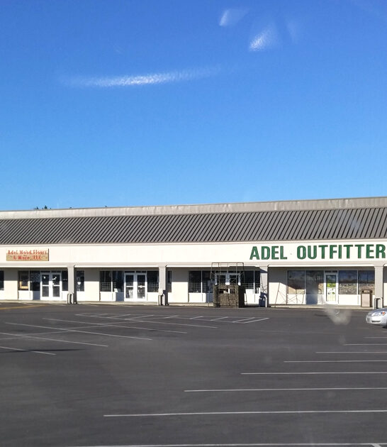 georgia enormous outlet malls ftr