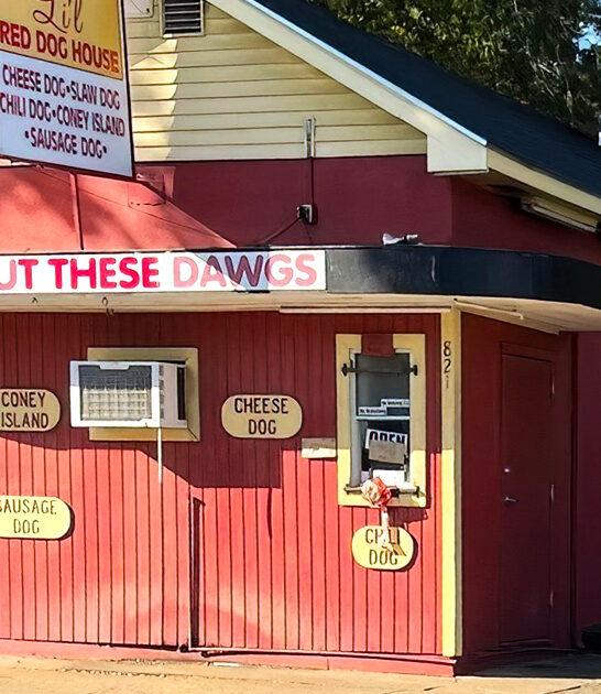 georgia iconic hotdogs gem ftr