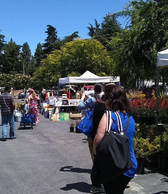 giant bargain treasures california ftr