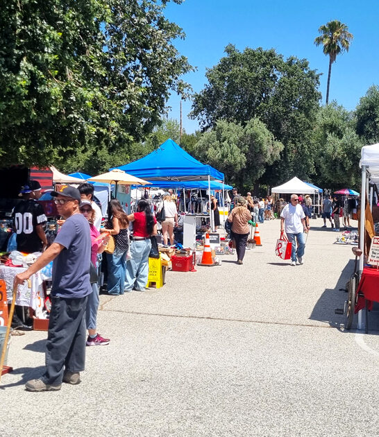 gigantic flea california treasures ftr