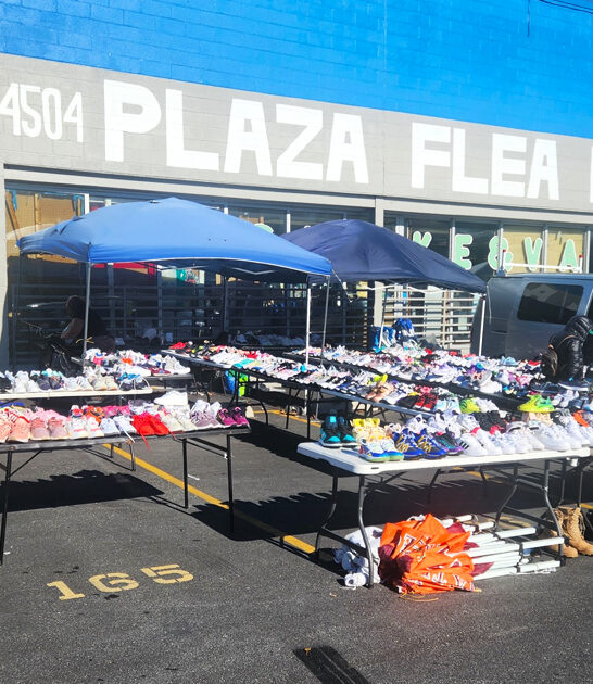 gigantic flea markets maryland ftr