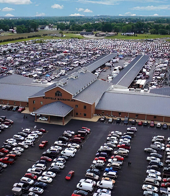 gigantic flea ohio rare ftr