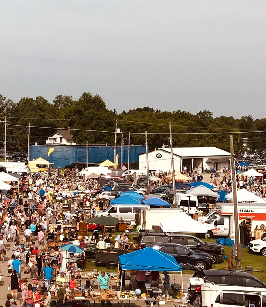 gigantic flea wisconsin car ftr
