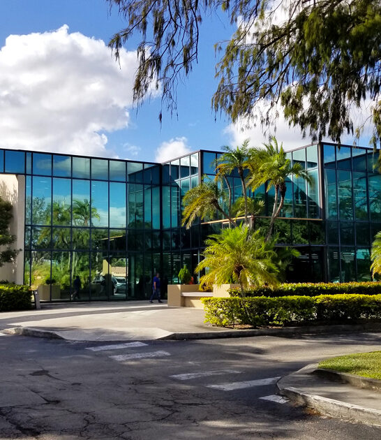 gigantic florida thrift haven ftr