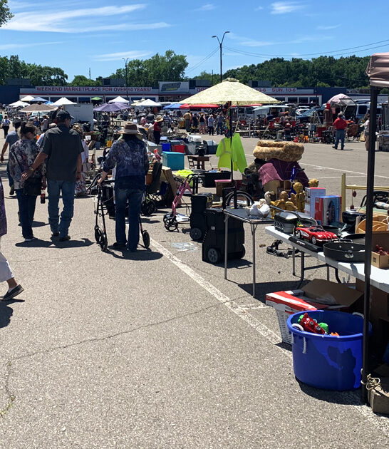 gigantic michigan markets flea ftr