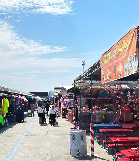 gigantic rare bargains california ftr