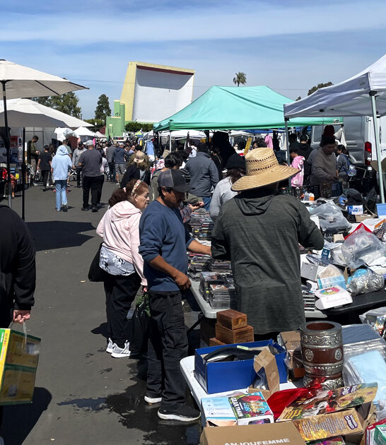 gigantic rare treasures california ftr