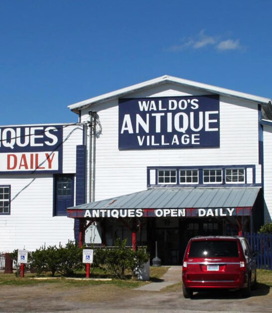 gigantic shop market florida ftr