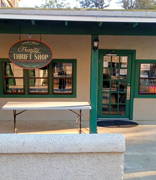 gigantic thrift florida treasures ftr