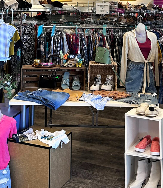 gigantic thrift spot florida ftr