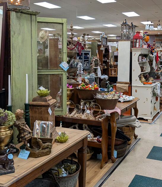 ginormous california vintage store ftr