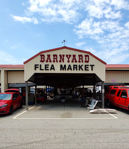 good markets south carolina ftr