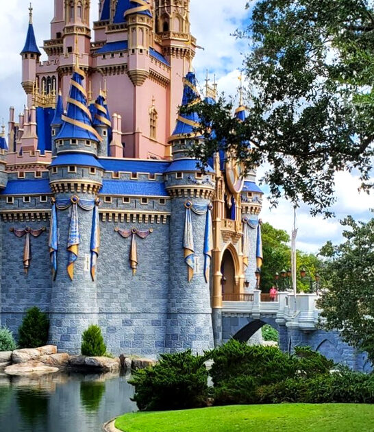 gorgeous castle florida perfect ftr