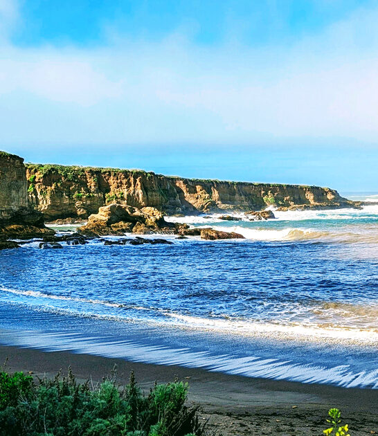 gorgeous great park california ftr