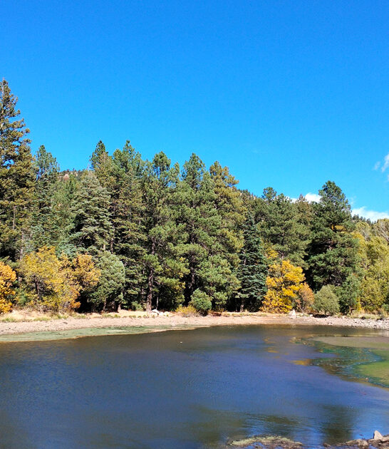 gorgeous new mexico park ftr
