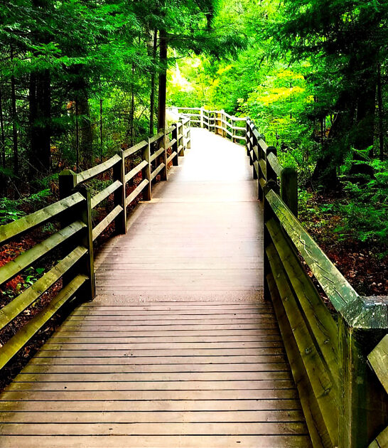 gorgeous park michigan melt ftr