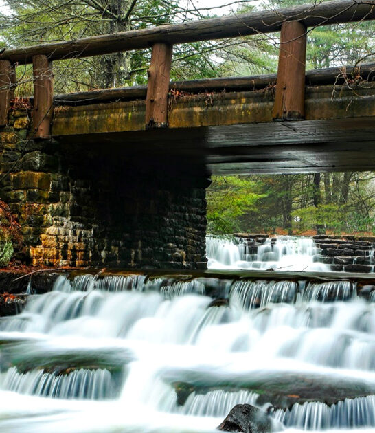 gorgeous park pennsylvania postcard ftr