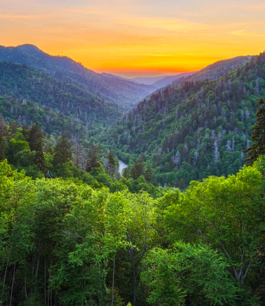 gorgeous park tennessee paradise ftr