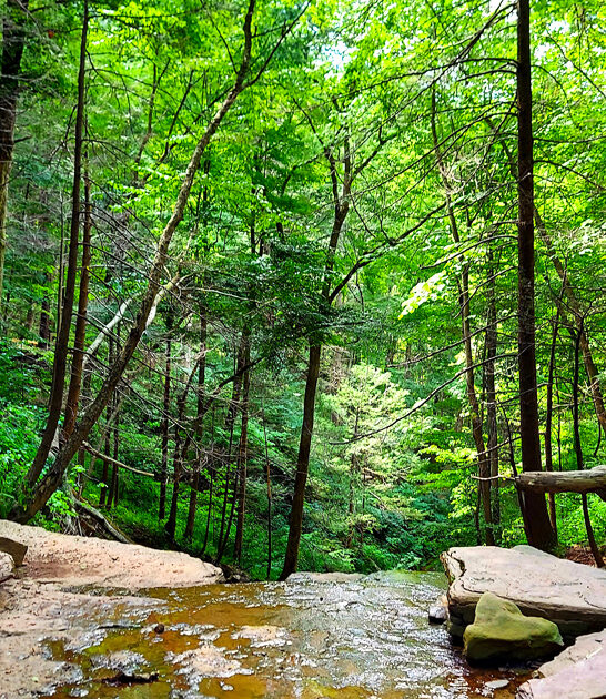 gorgeous peaceful park pennsylvania ftr