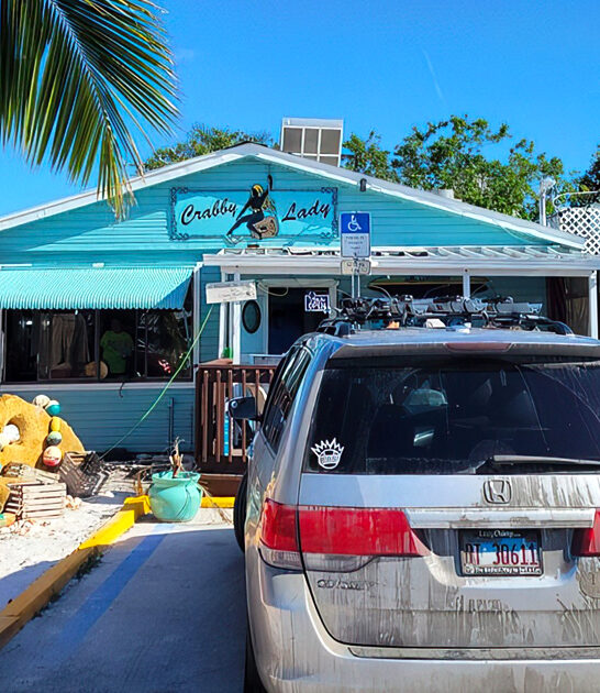 grouper seafood spot florida ftr