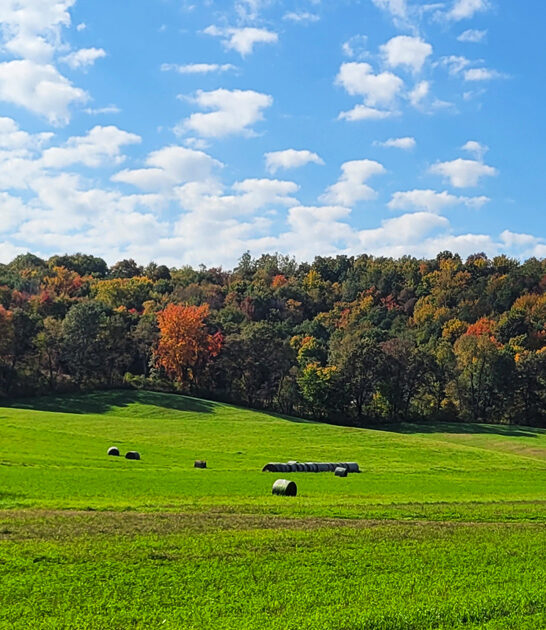 hidden haven wisconsin park ftr