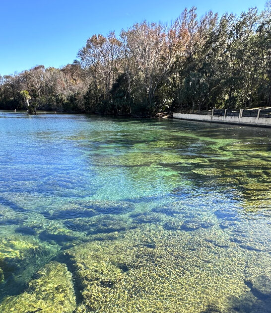 hidden natural spring florida ftr