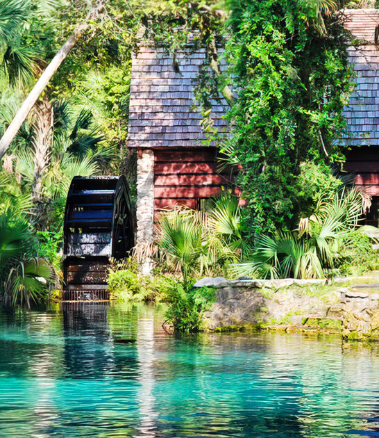 hidden spring gorgeous florida ftr
