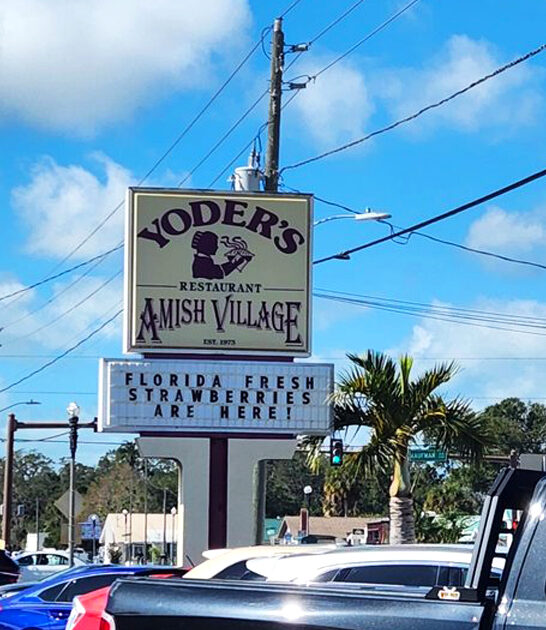 homemade amish pies florida ftr
