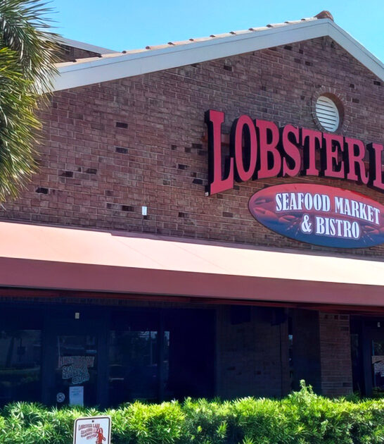 homey maine lobster florida ftr