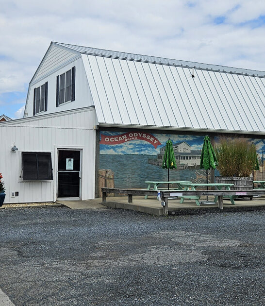 homey maryland sandwiches spot ftr