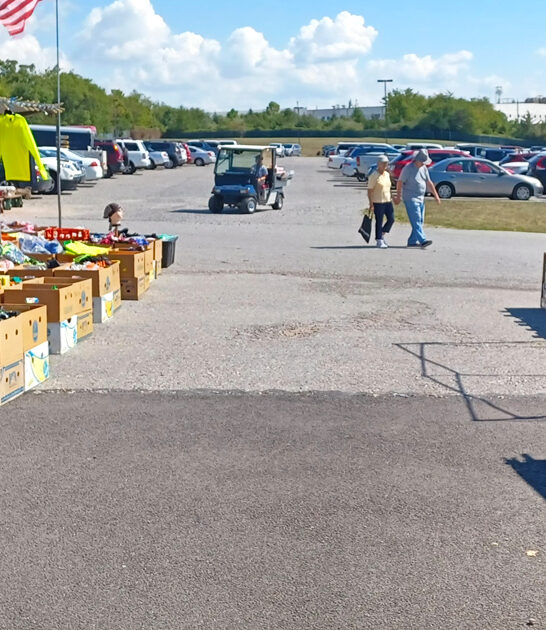 huge flea fair pennsylvania ftr