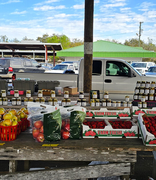 huge market florida treasures ftr