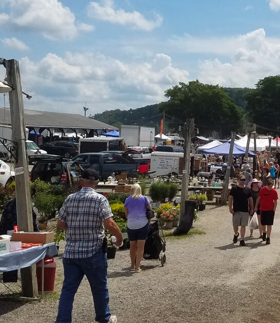 hunting dreams market ohio ftr