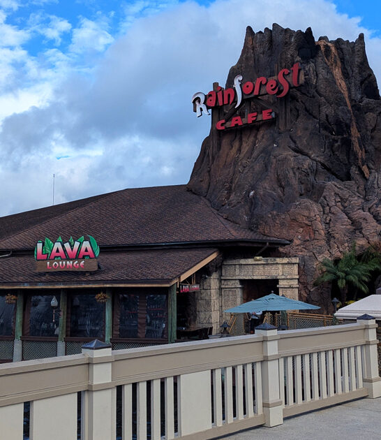 iconic florida ribs steak ftr