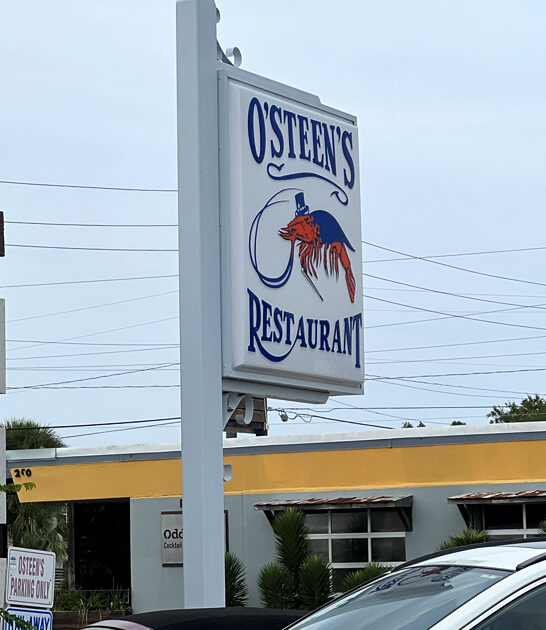 iconic hush puppies florida ftr