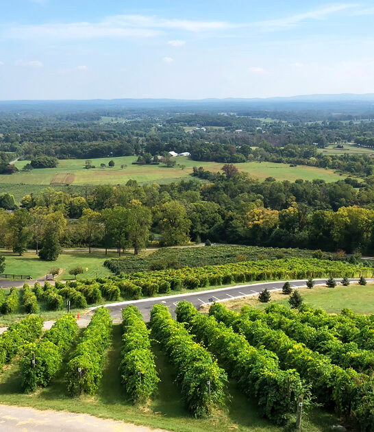 iconic wineries virginia worth ftr