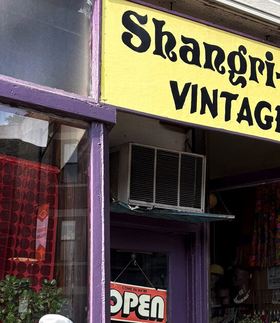 illinois charming vintage haven ftr