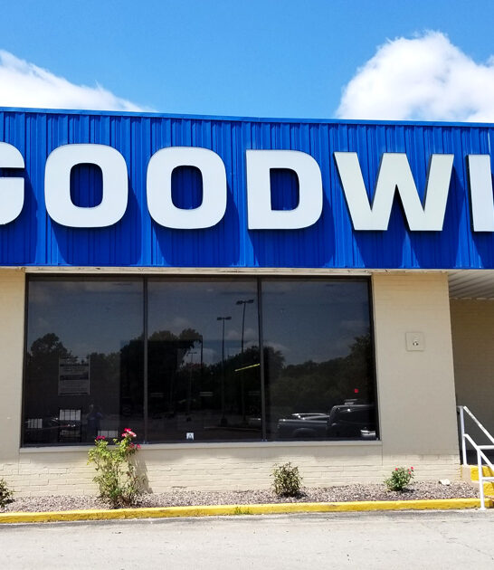 illinois gigantic bargain stores ftr
