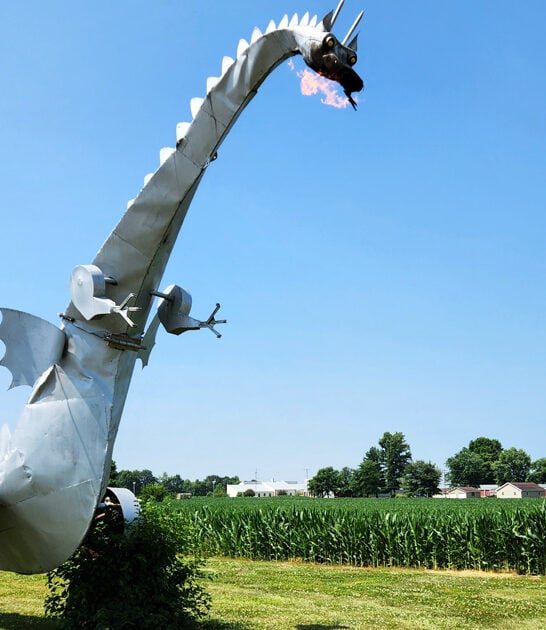 illinois hidden dragon wonder ftr