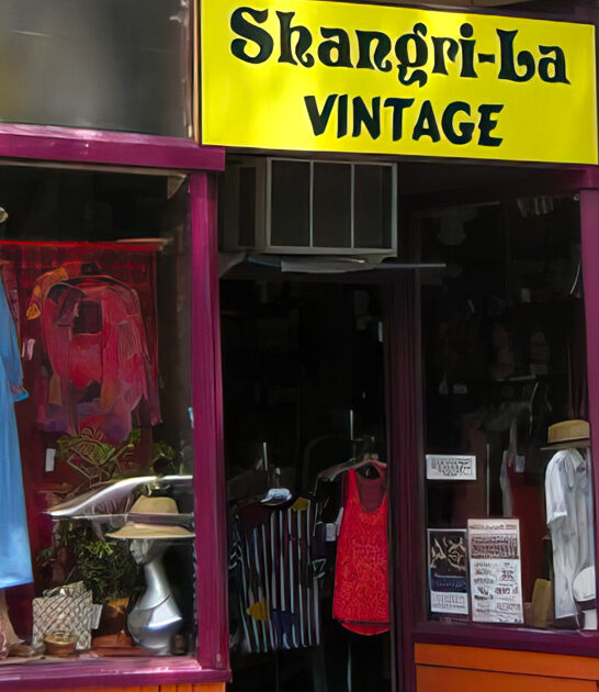 illinois store timeless pieces ftr