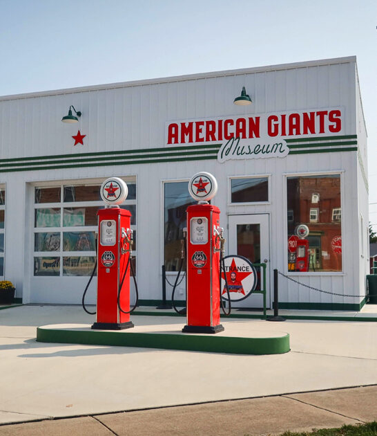illinois weird giants museum ftr